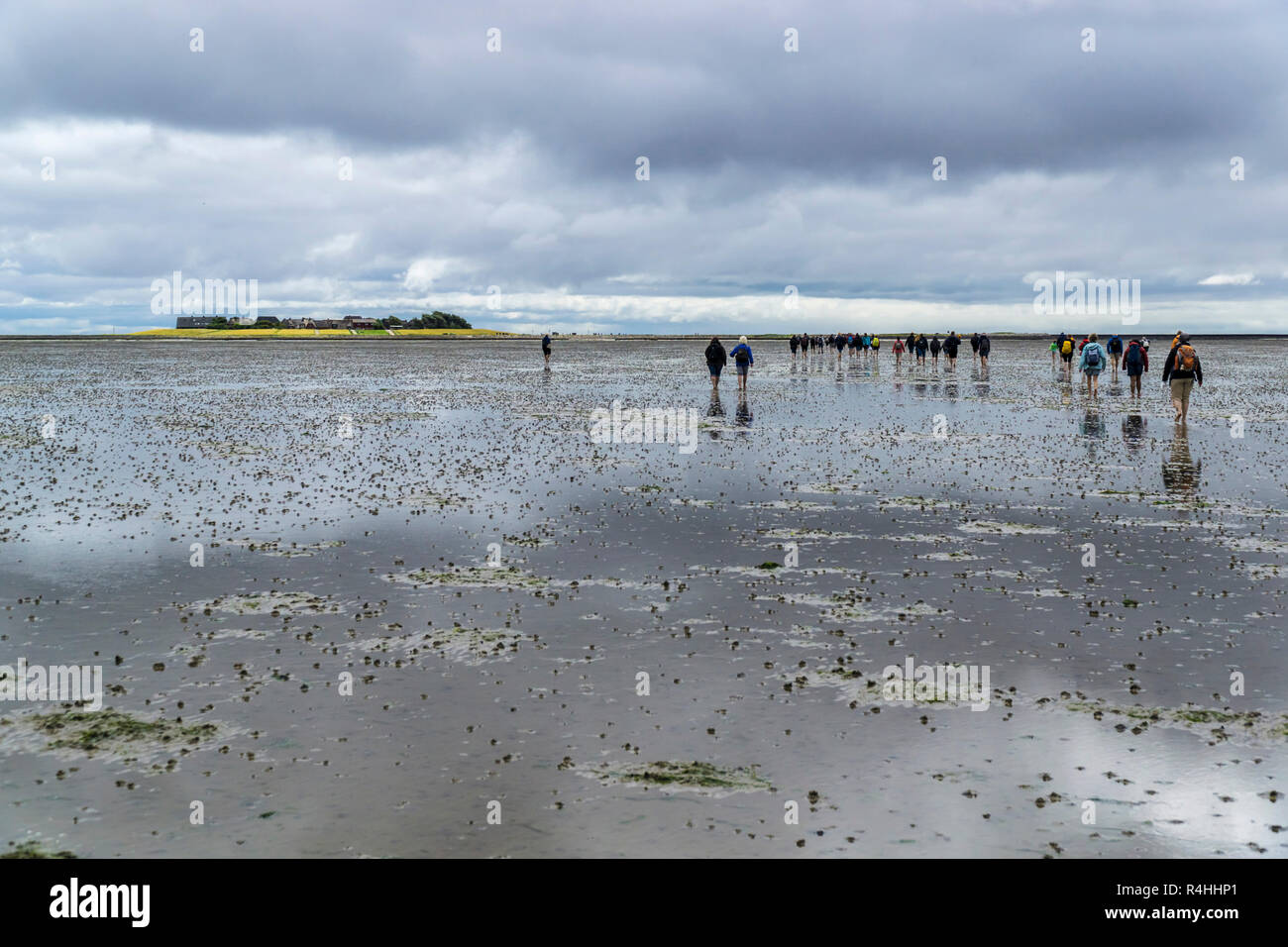 Nordfriesland, Watt wandering and Hallig Oland, Wattwanderung und ...