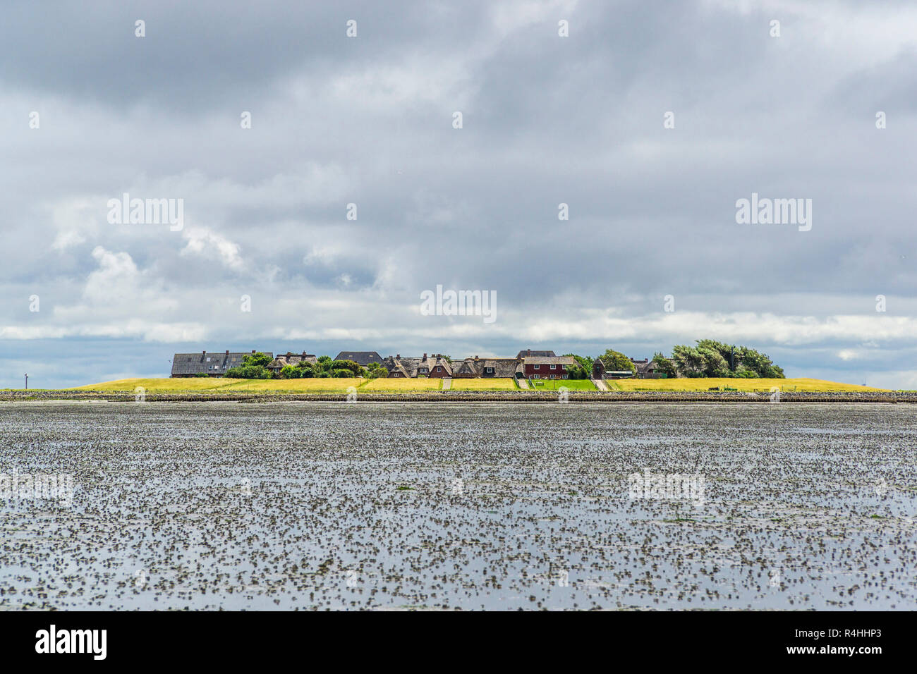 Nordfriesland, Threw of the Hallig Oland, Warft der Hallig Oland Stock ...