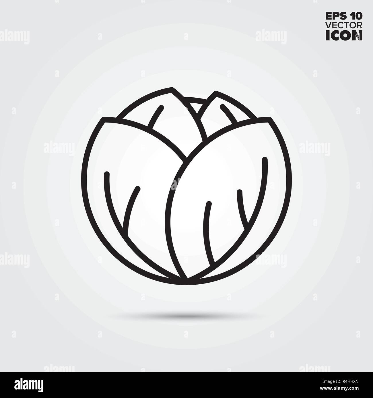 Cabbage vector vectors hi-res stock photography and images - Alamy