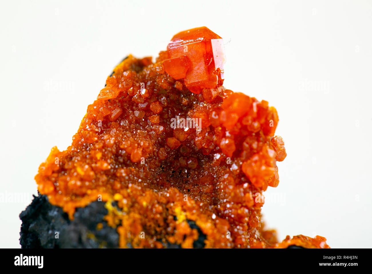 A rich jumble of tabular, reddish-orange wulfenite crystals. Mineral ...