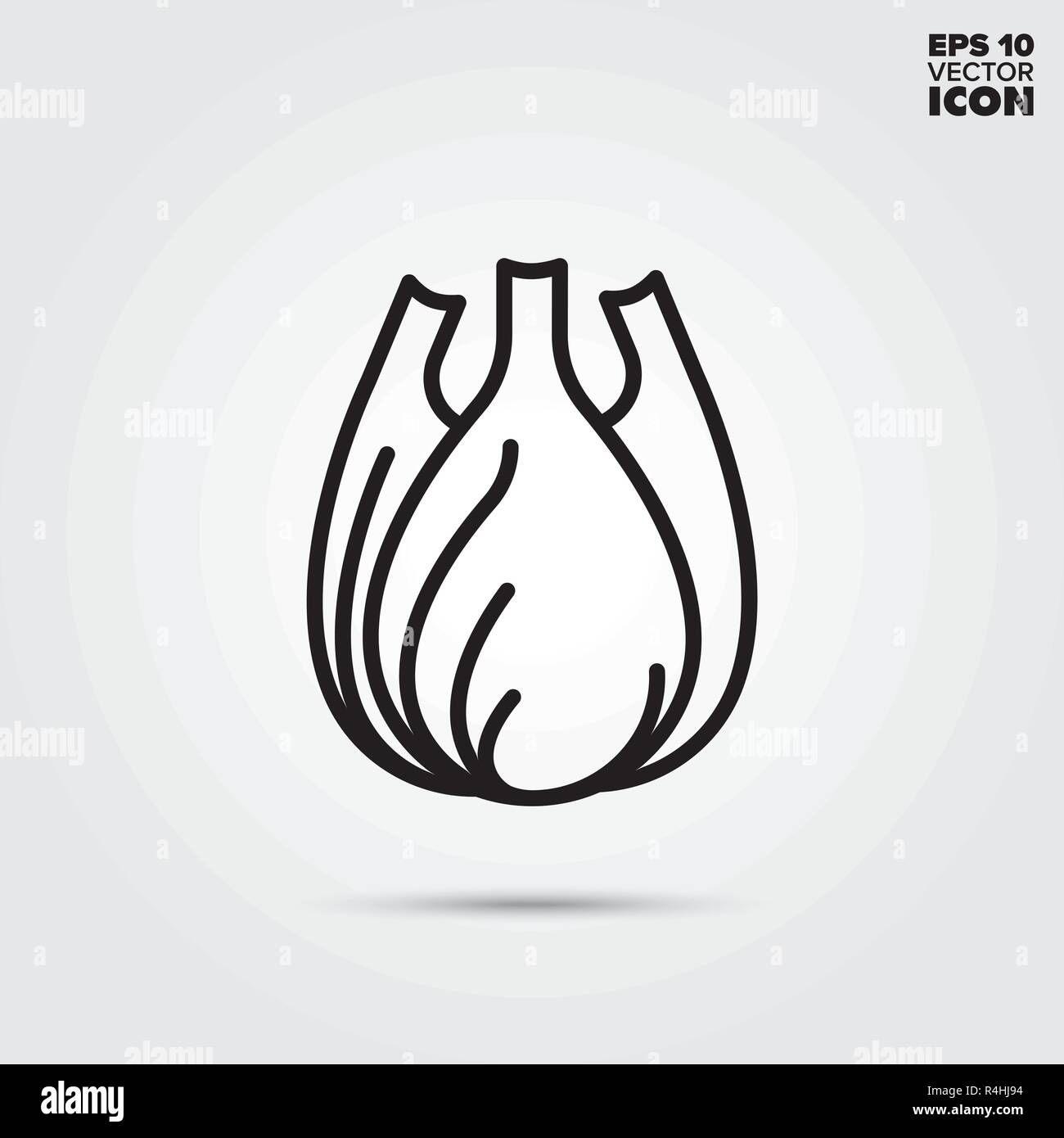 Fennel Stock Vector Images - Alamy