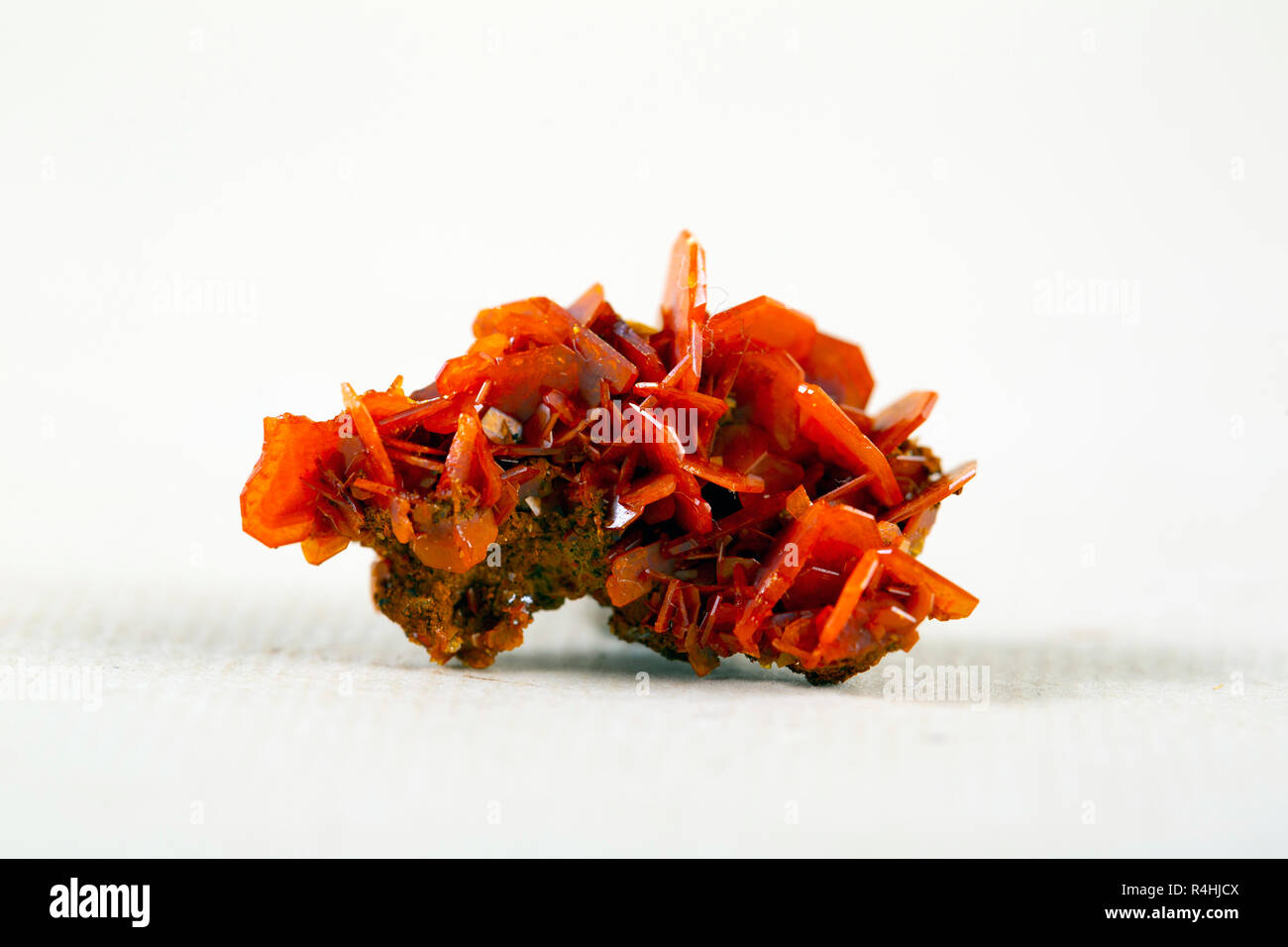 A rich jumble of tabular, reddish-orange wulfenite crystals. Mineral ...