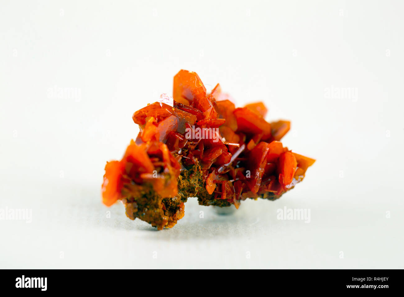 A rich jumble of tabular, reddish-orange wulfenite crystals. Mineral ...