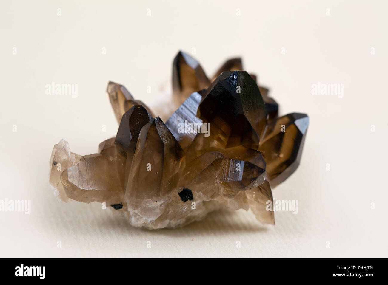Macro mineral stone Morion crystal in the rock a white background close ...