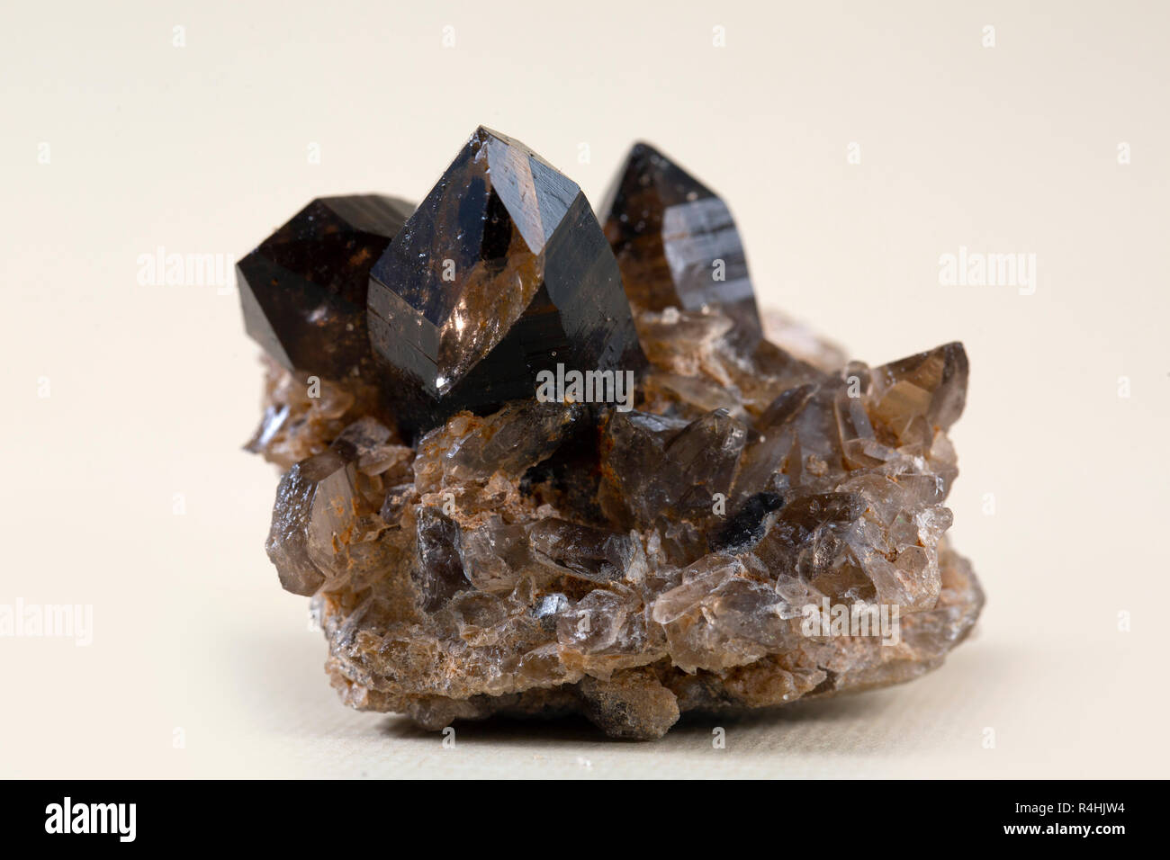 Macro mineral stone Morion crystal in the rock a white background close ...