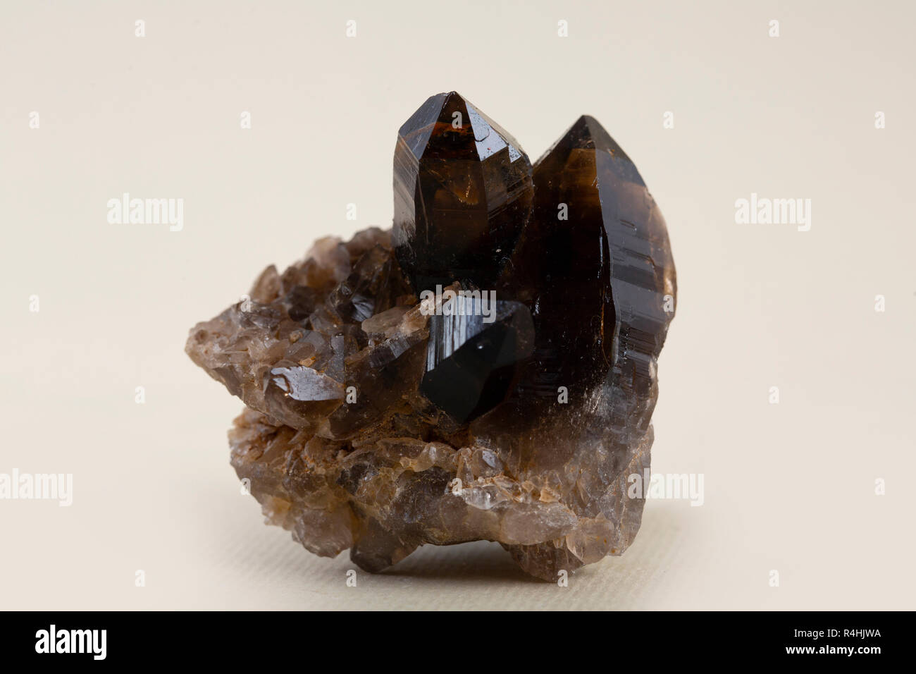 Macro mineral stone Morion crystal in the rock a white background close ...