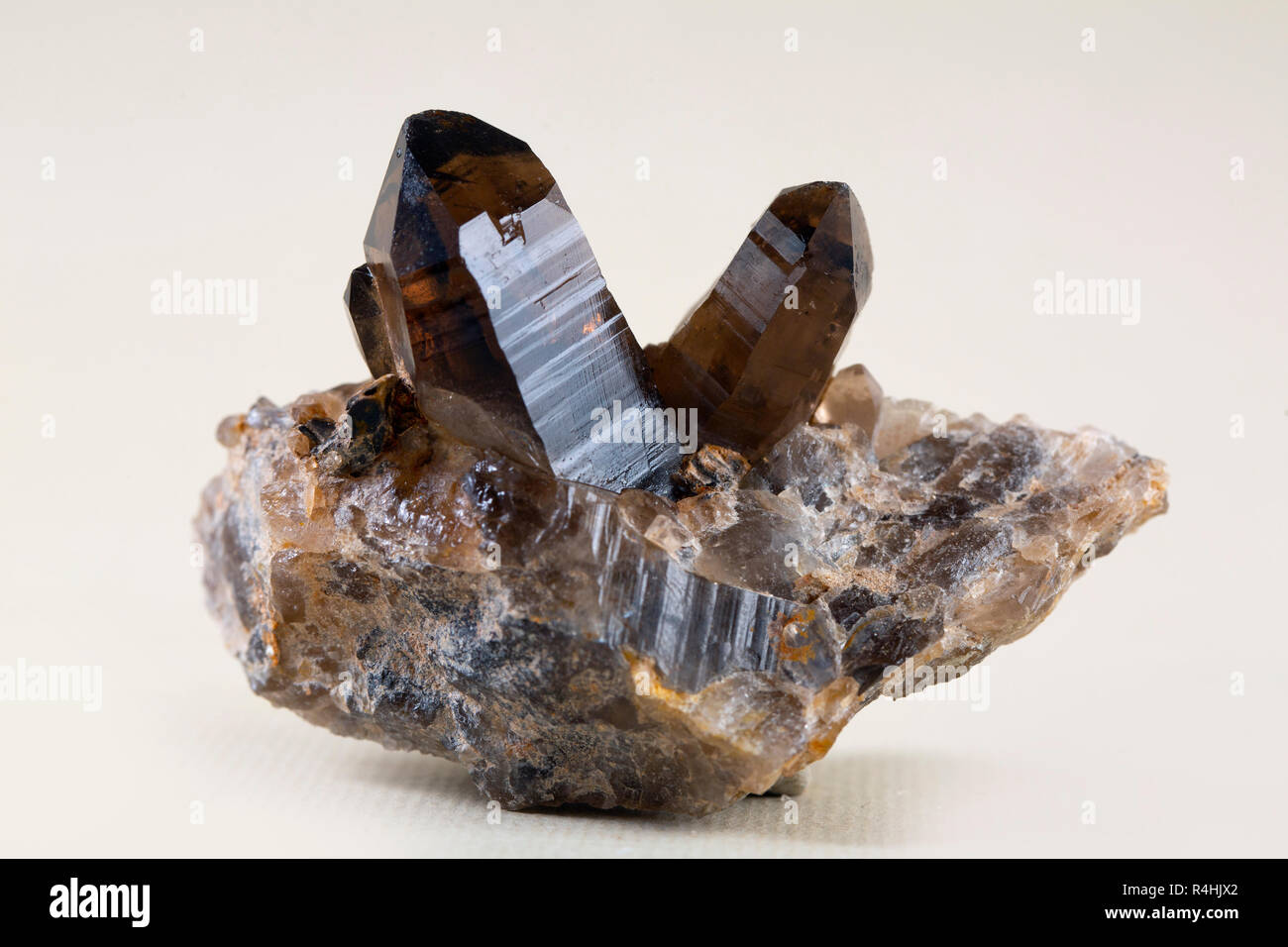 Macro mineral stone Morion crystal in the rock a white background close ...