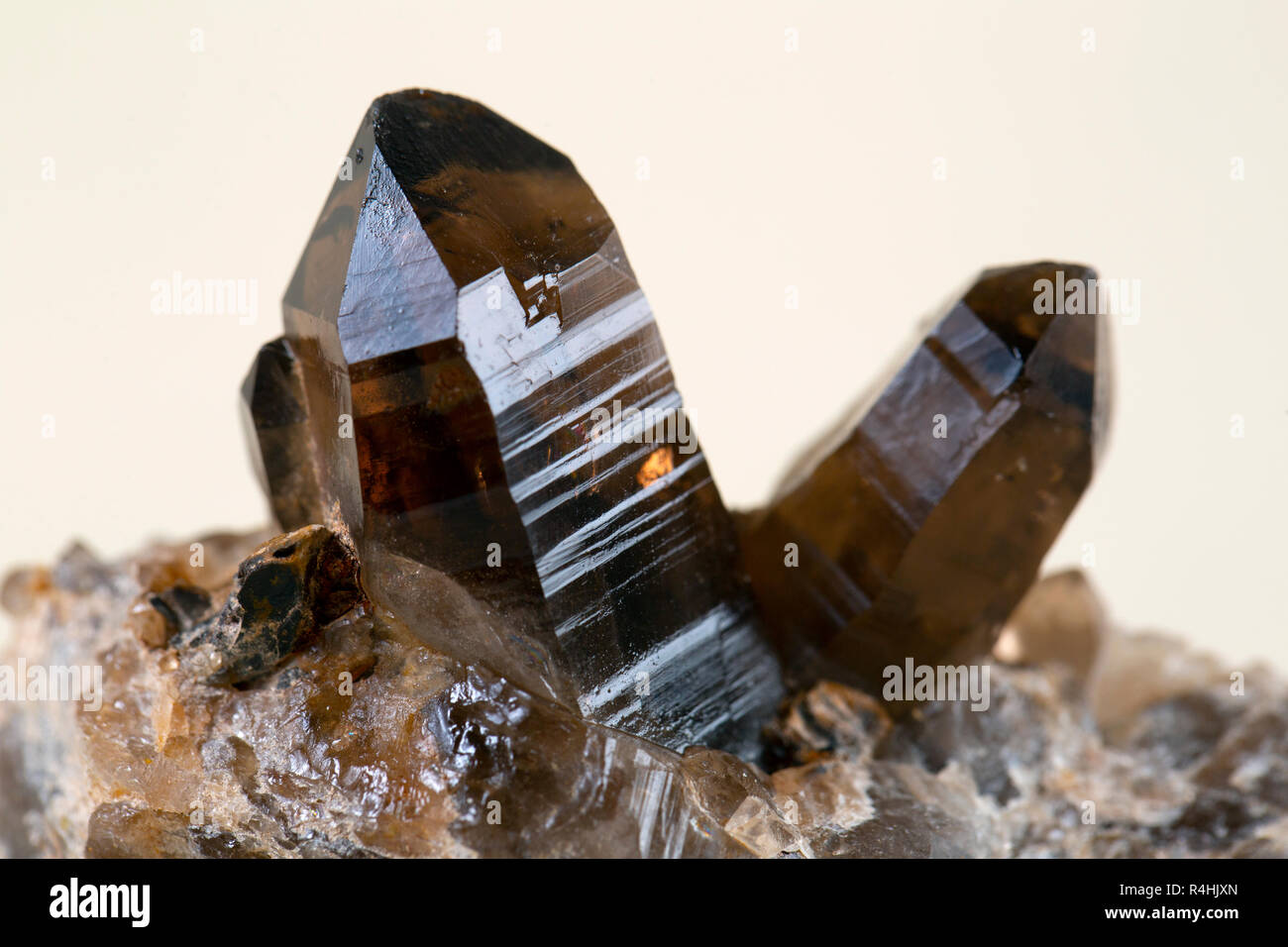 Macro mineral stone Morion crystal in the rock a white background close ...