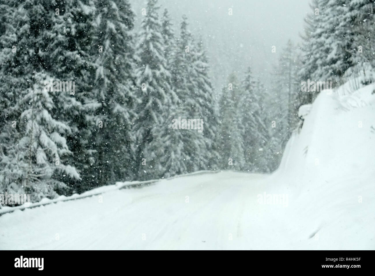 snow tempest on white mountains Stock Photo - Alamy