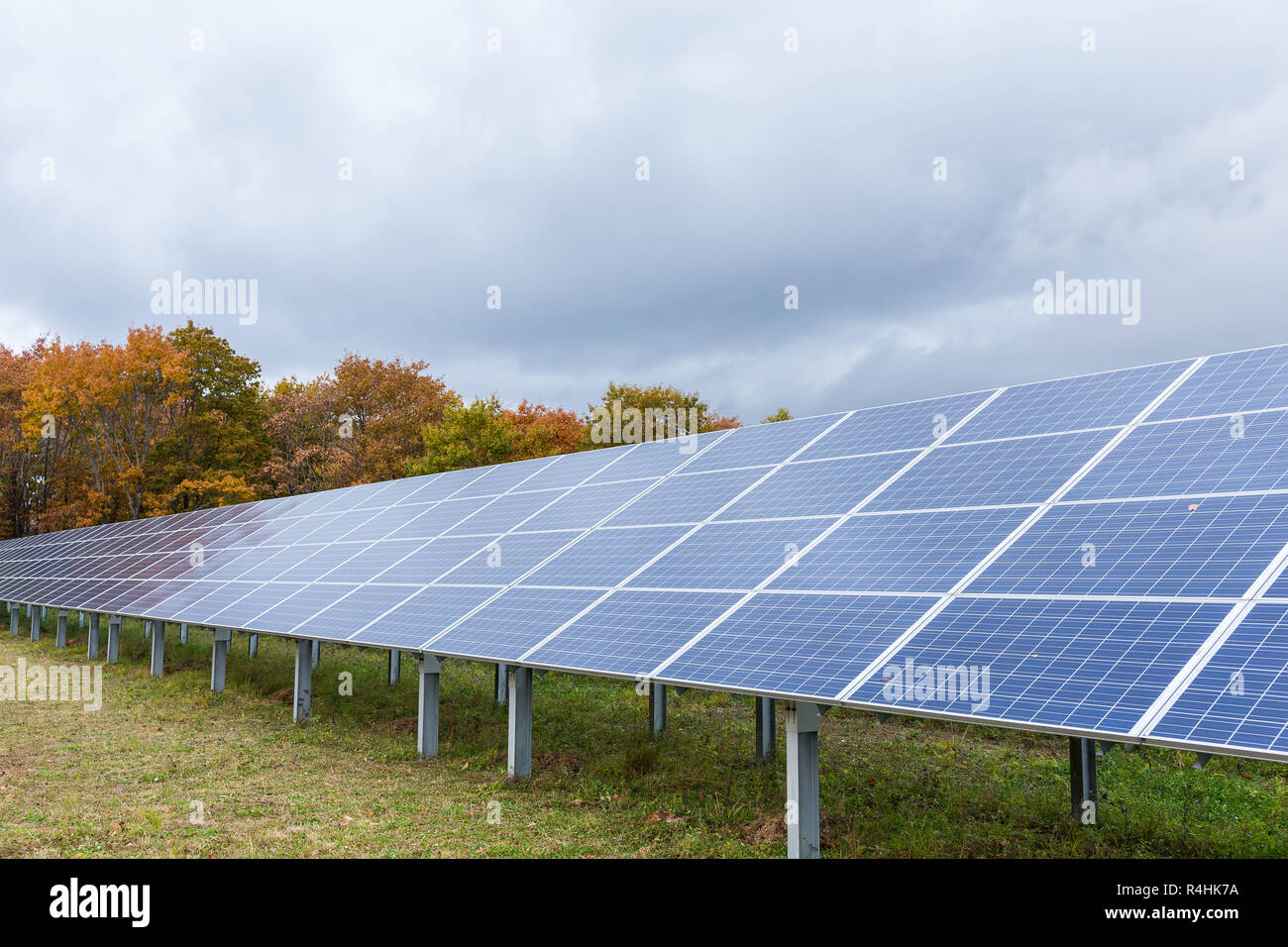 Solar panel plant Stock Photo - Alamy