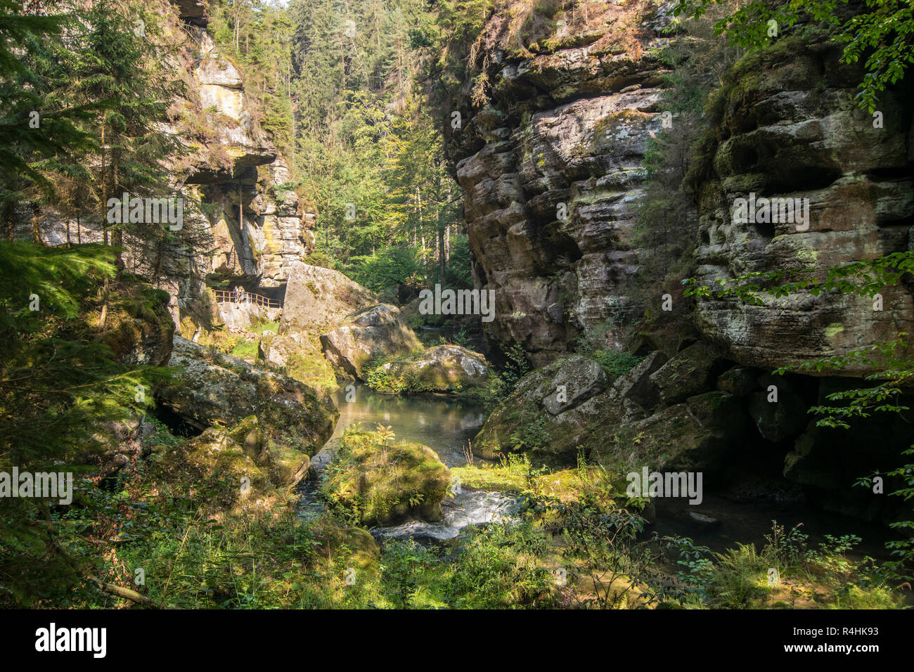 Böhmische Schweiz, Edmundsklamm of the Kamenice, Edmundsklamm der ...