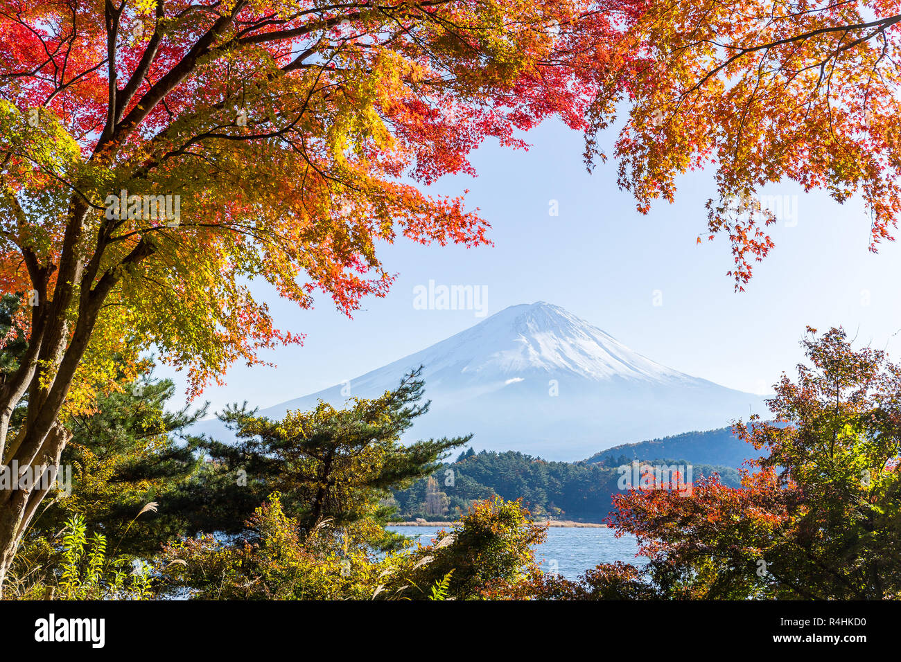 Mount Fuji in Autumn season Stock Photo - Alamy