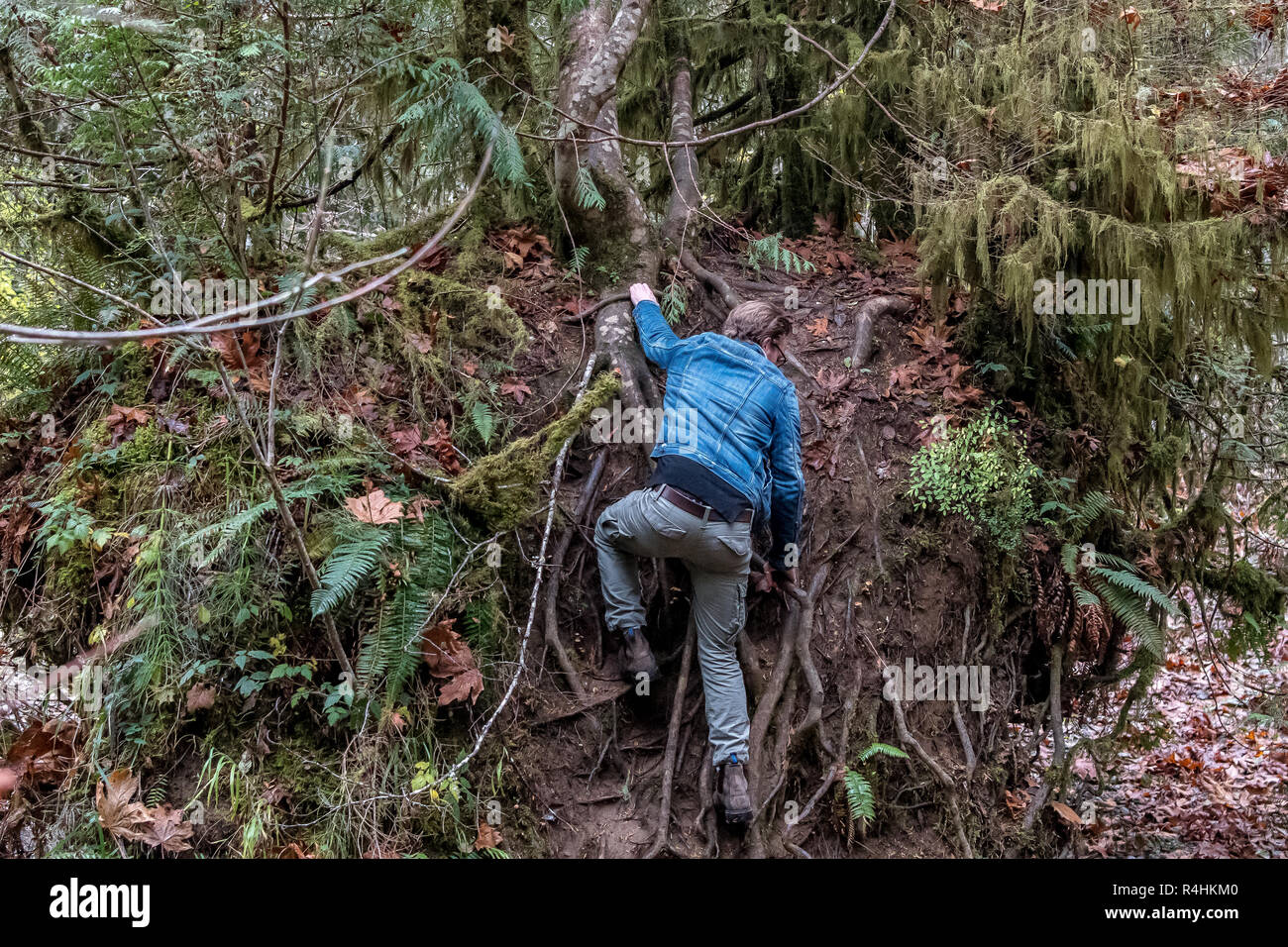 Holding on to tree hi-res stock photography and images - Alamy