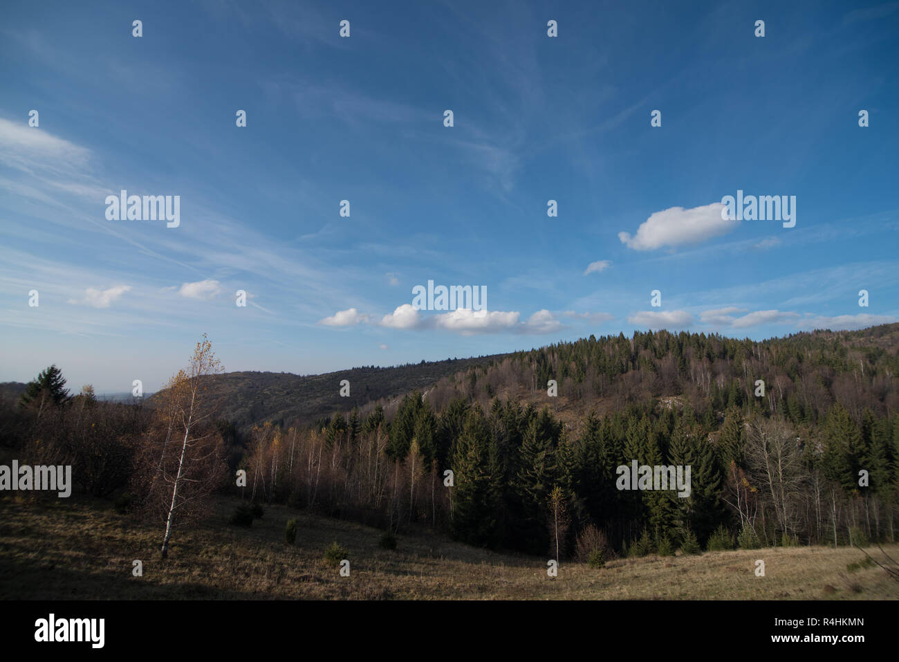 Alpine forest landscape, Sarajevo, Bosnia and Herzegovina Stock Photo ...