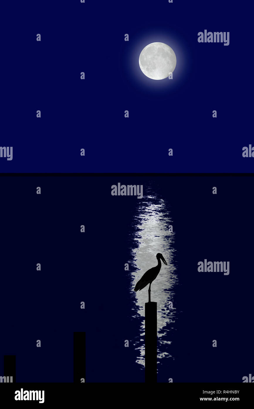 Night nighttime moon moonlight firmament hi-res stock photography and ...