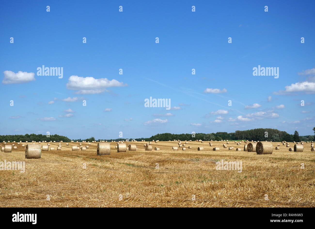 Crop circle natural scenery hi-res stock photography and images - Alamy