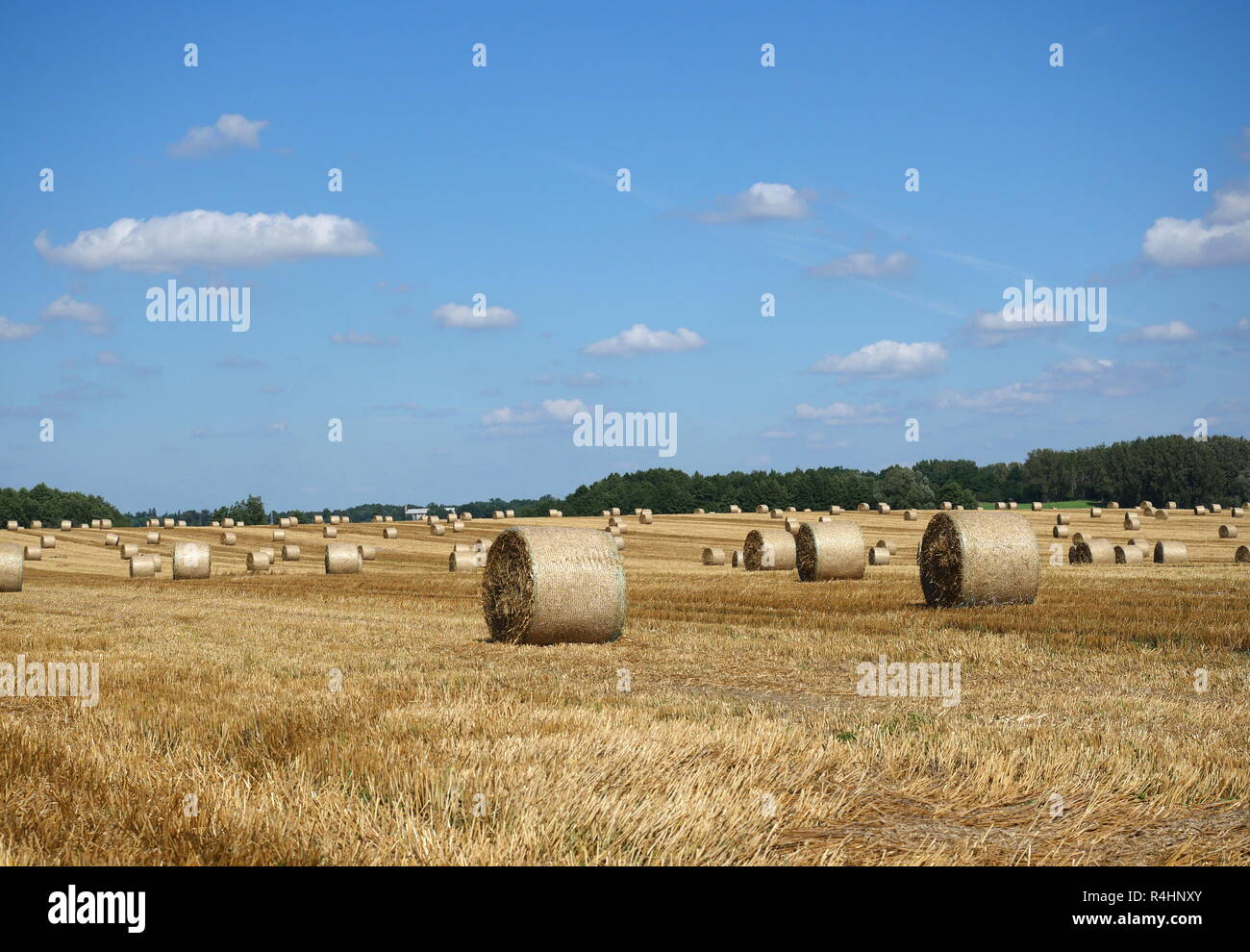 roll of hay in summer scenery Stock Photo - Alamy