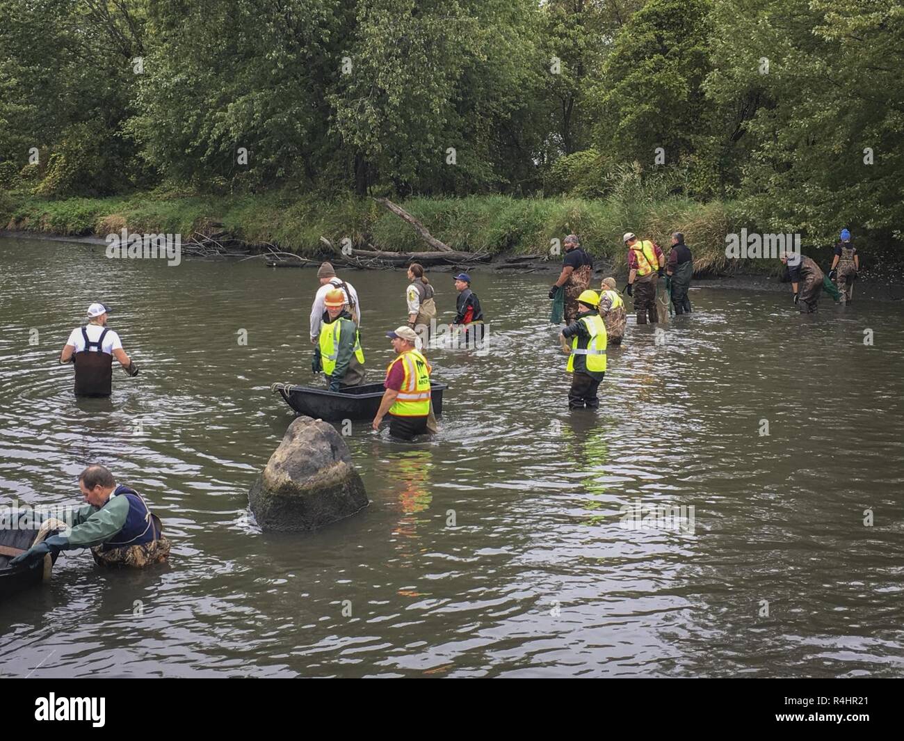 Marsh lake ecosystem restoration project hi-res stock photography and ...