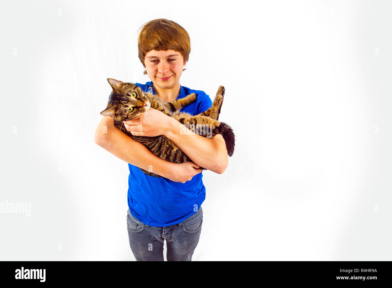 boy holding his cat in the arms Stock Photo - Alamy