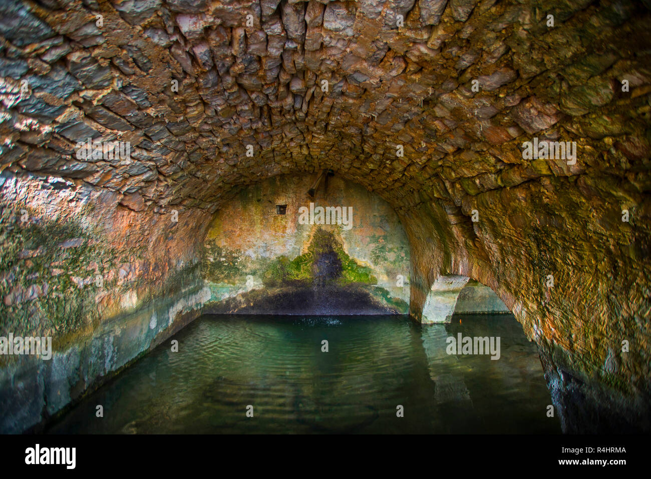 europe, greece, creta, heraklion, region, village, krasi, plane tree ...