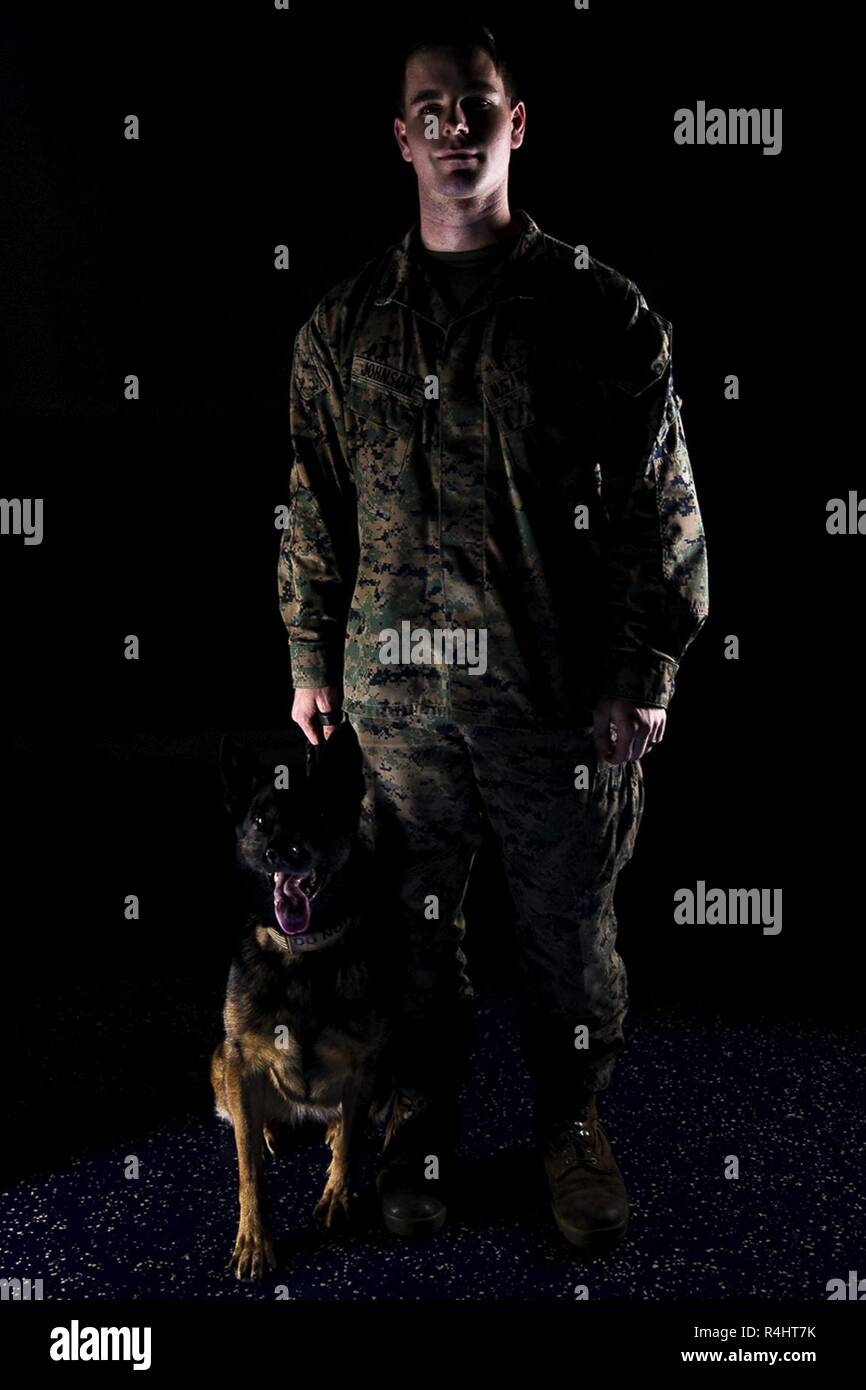 Cpl. Dustin Johnson, a Military Working Dog handler with the 31st ...