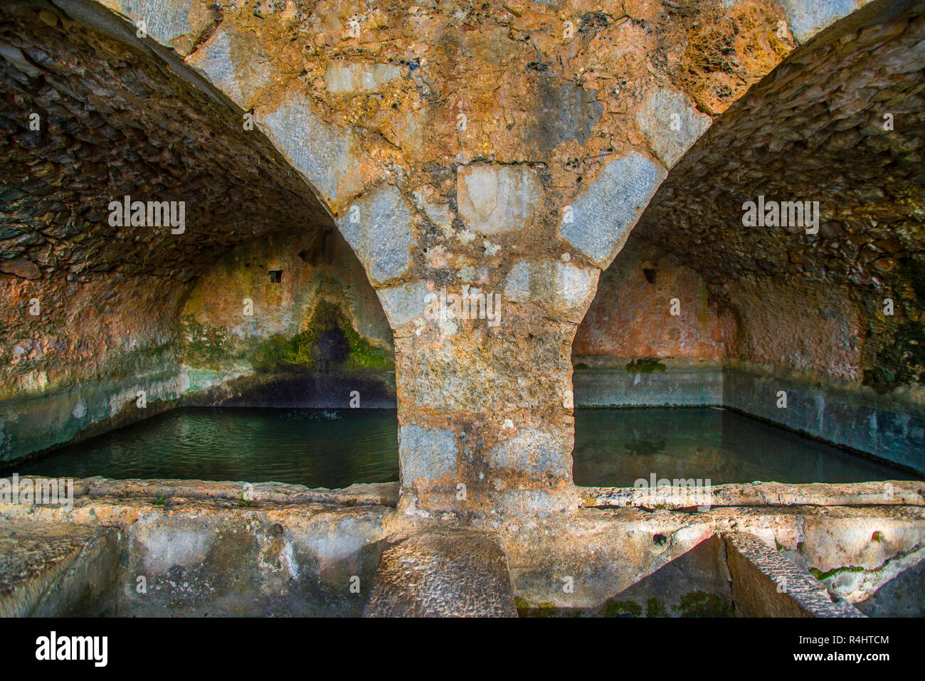 europe, greece, creta, heraklion, region, village, krasi, plane tree ...