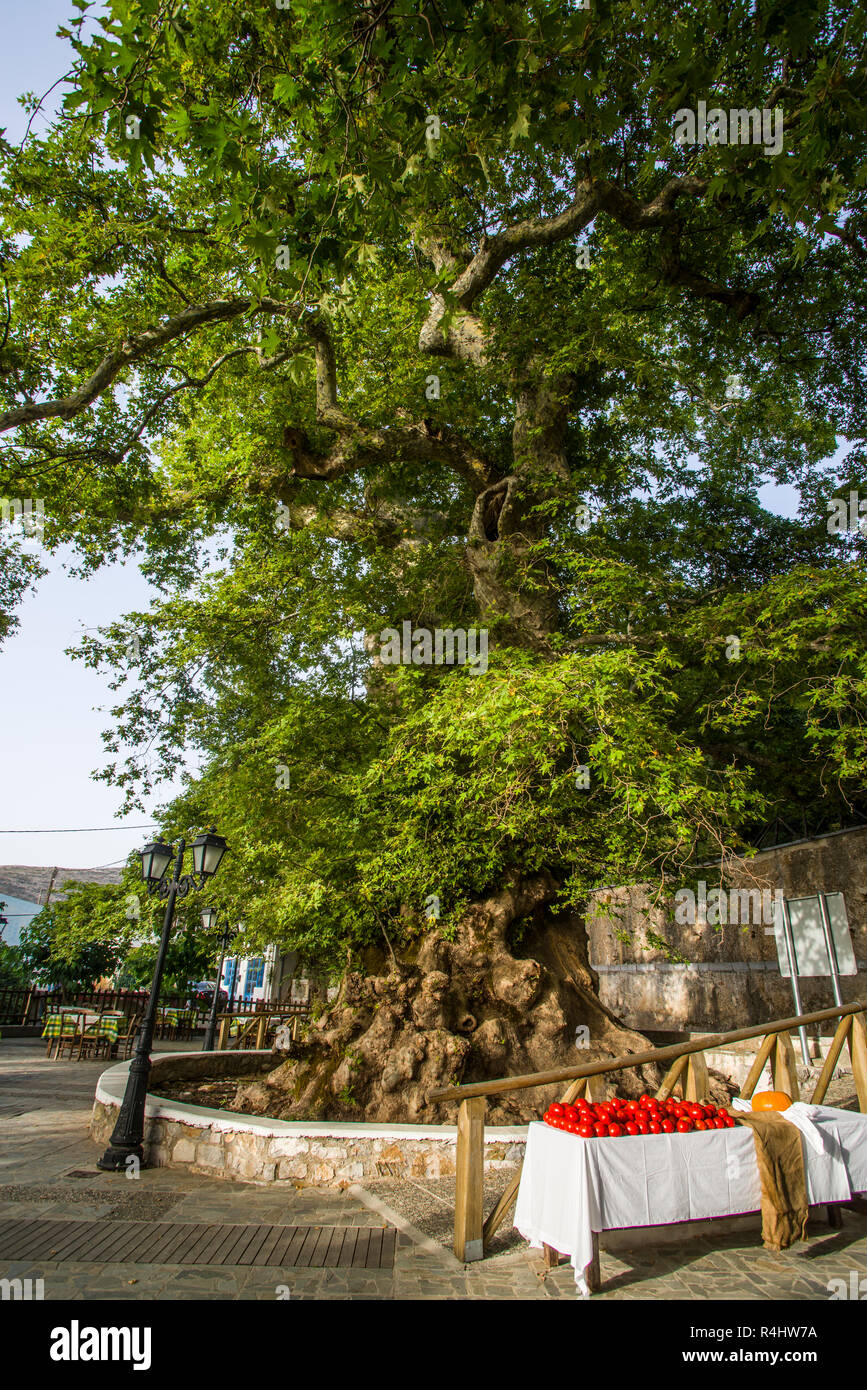 Krasi hi-res stock photography and images - Alamy