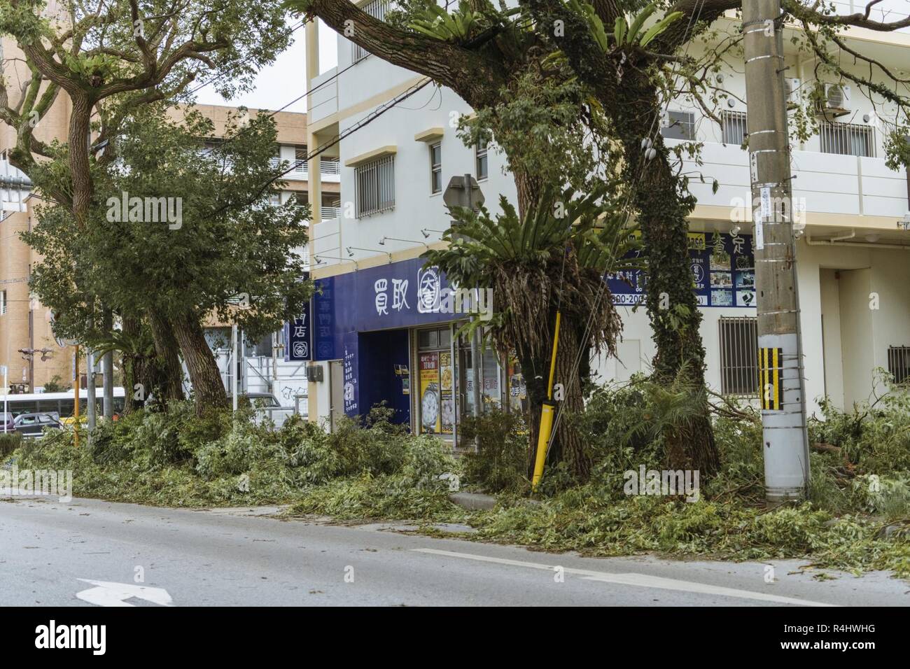 Tree branches and debris from Typhoon Trami litter the road leading to ...