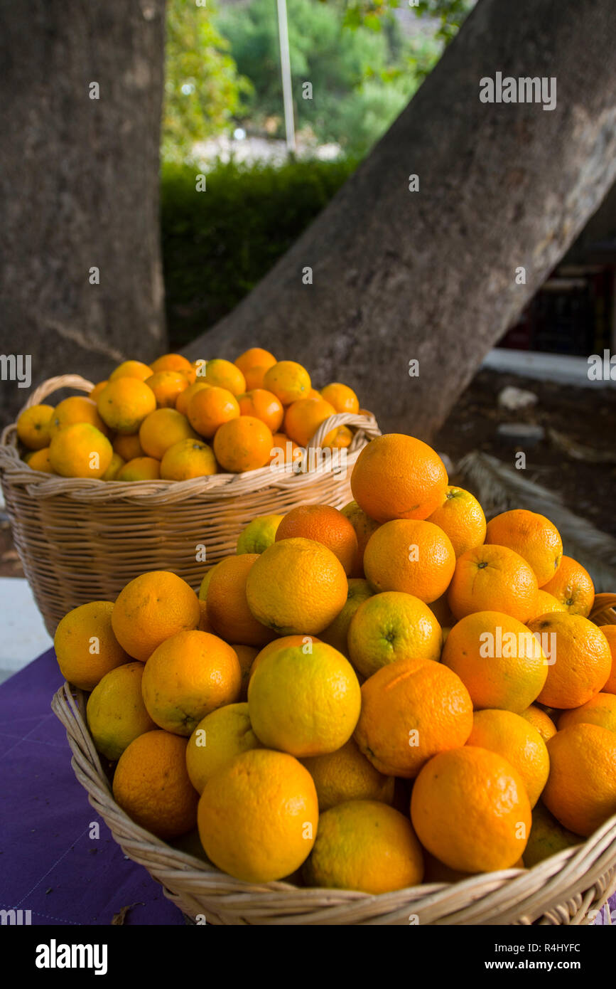 europe, greece, creta, heraklion, region, village, krasi, plane tree ...