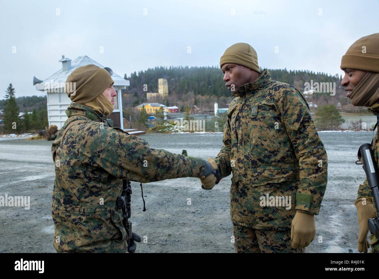 A U.S. Marine with 2nd Light Armored Reconnaissance, 2nd Marine ...