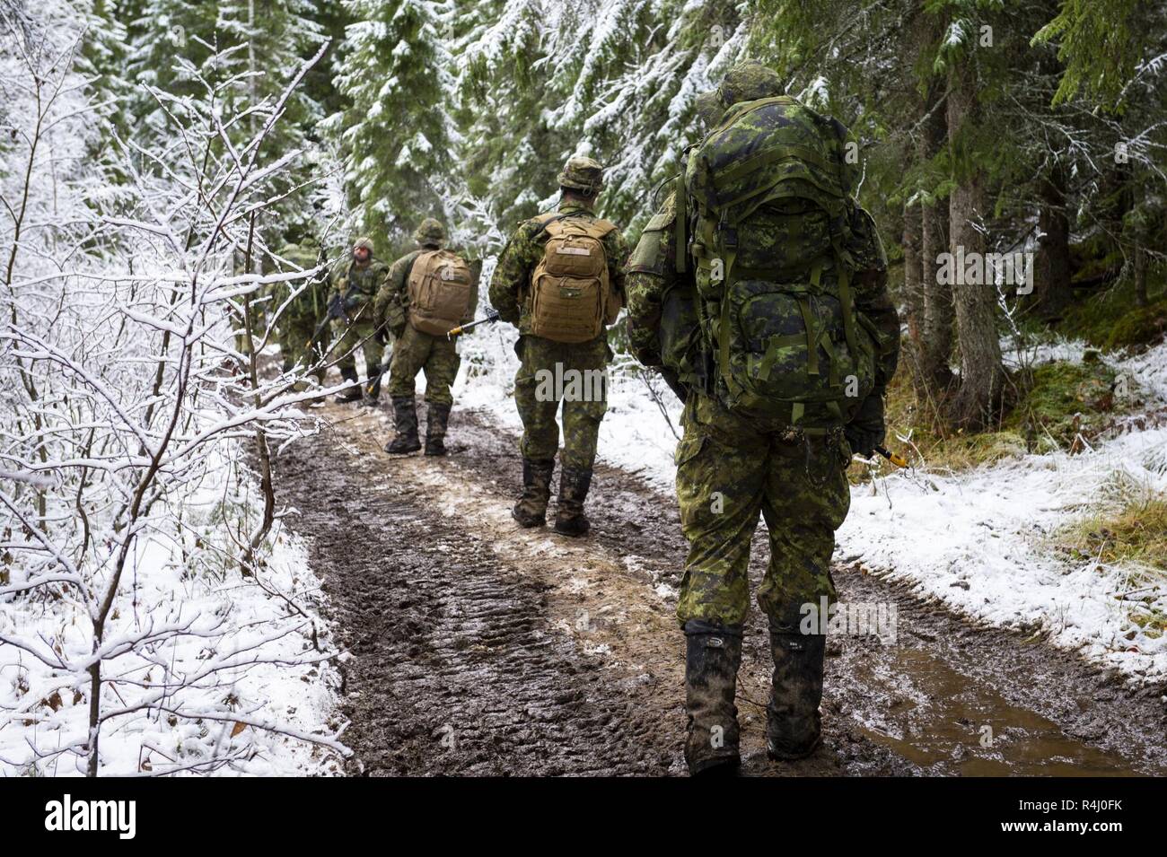 Canadian Armed Forces Members of the Royal 22nd Regiment conduct a ...