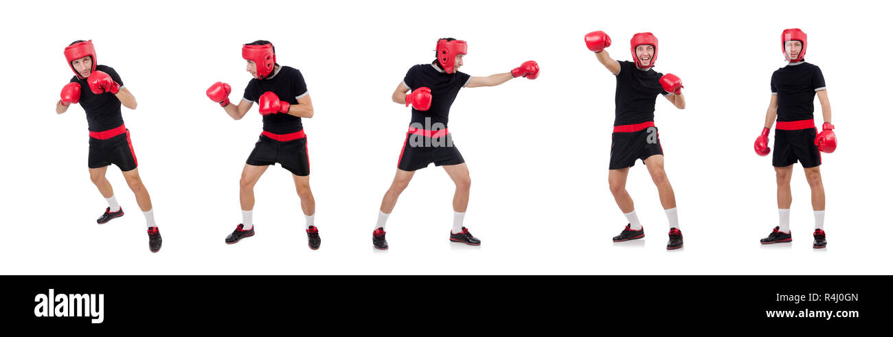 Funny boxer isolated on the white Stock Photo - Alamy