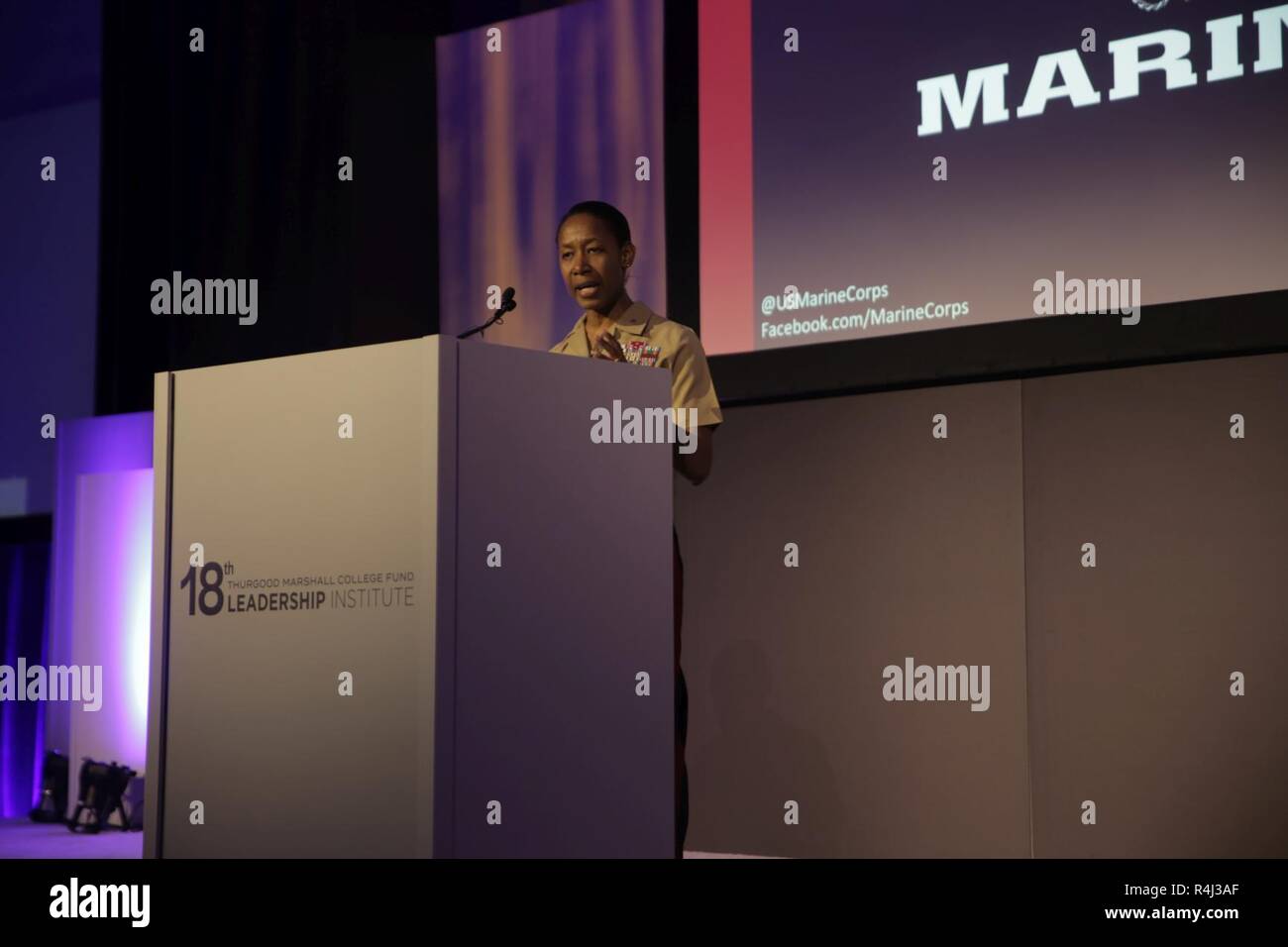 Brigadier Gen. Lorna Mahlock, the Chief Information Officer of the ...
