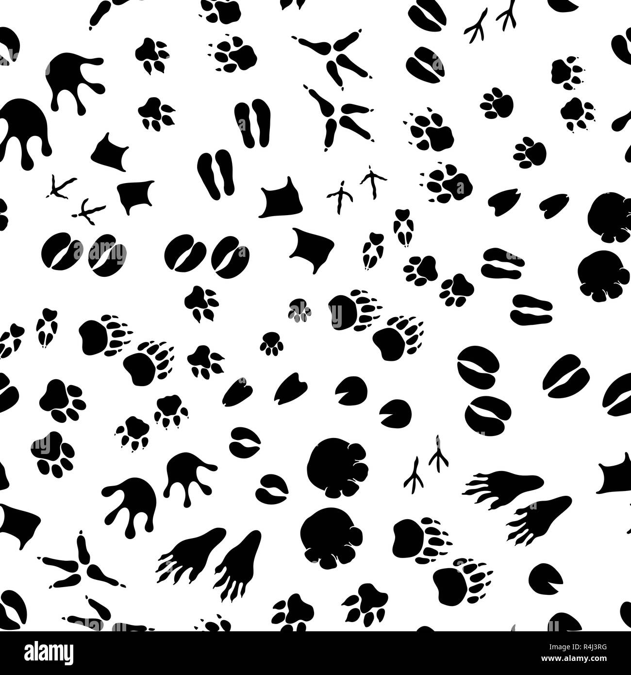 Trace of the wolf Black and White Stock Photos & Images - Alamy