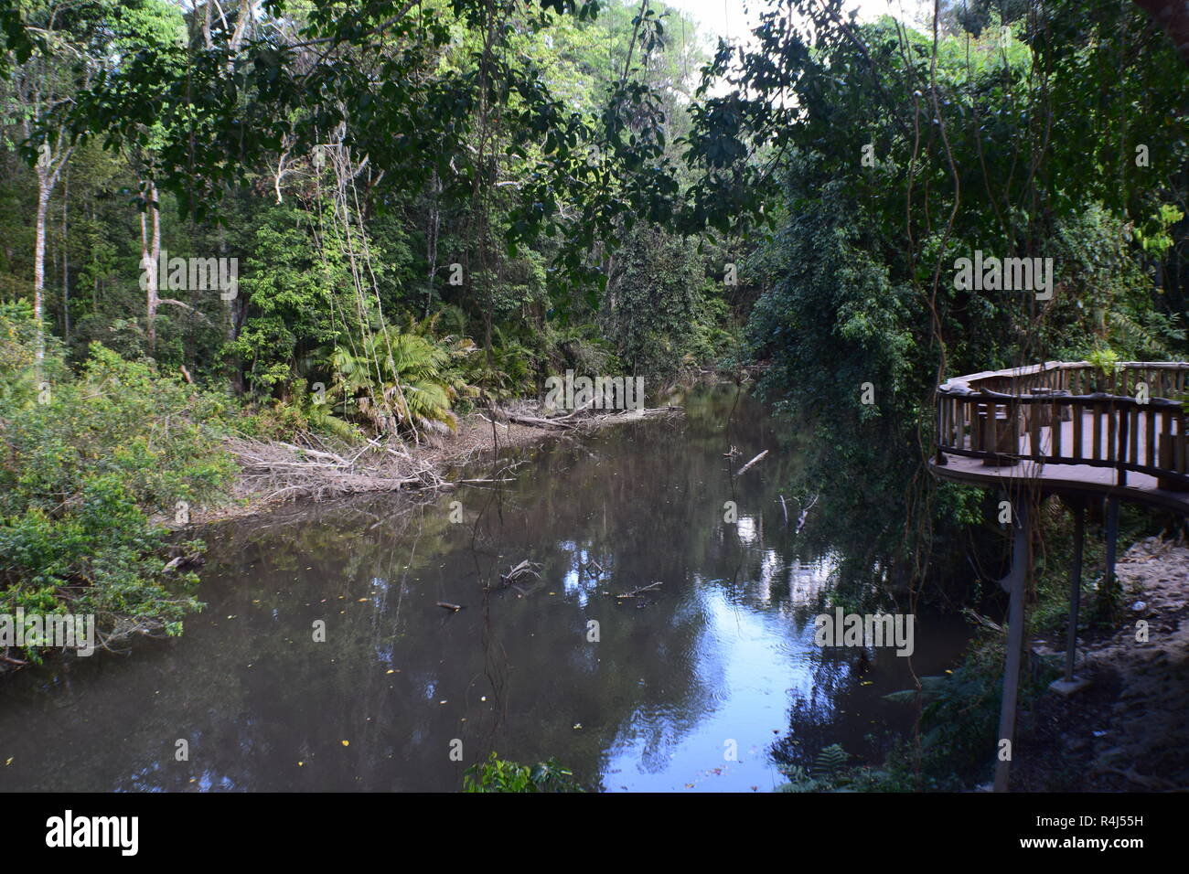 Khao yai nationalpark hi-res stock photography and images - Alamy
