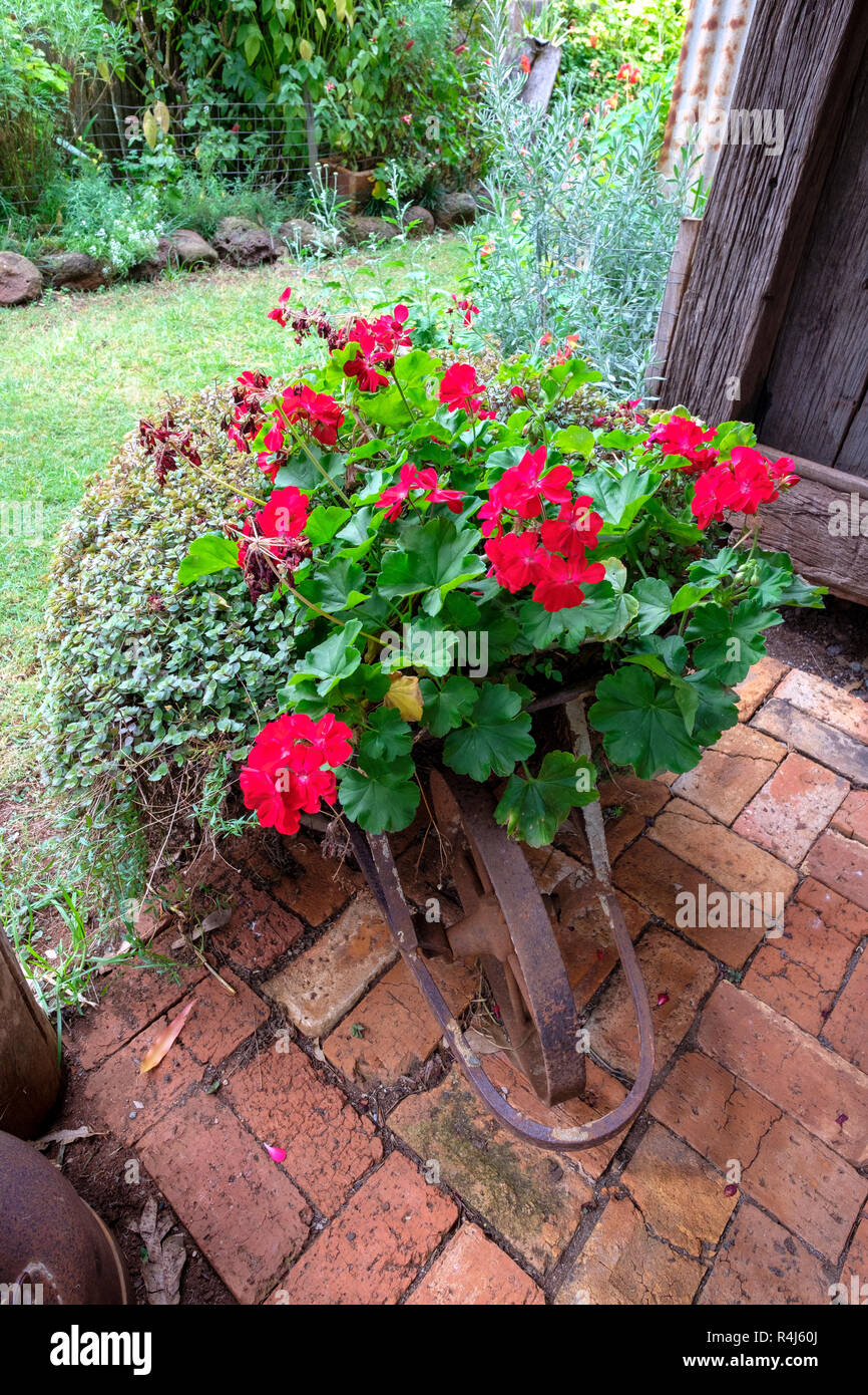 At Highfields Pioneer Village Stock Photo - Alamy
