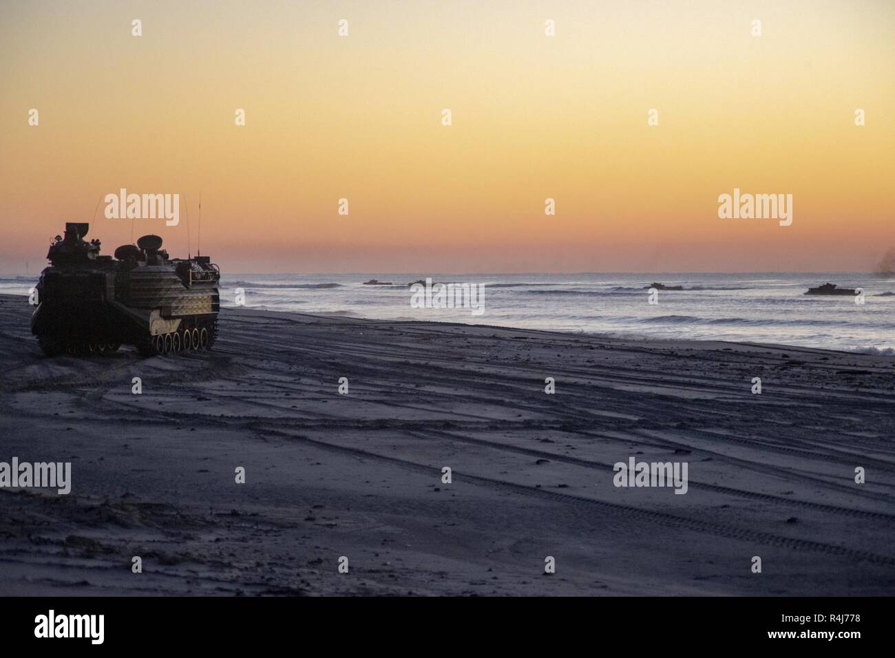 Marine AAV-P7/A1 assault amphibian vehicles with 2nd Assault Amphibian ...