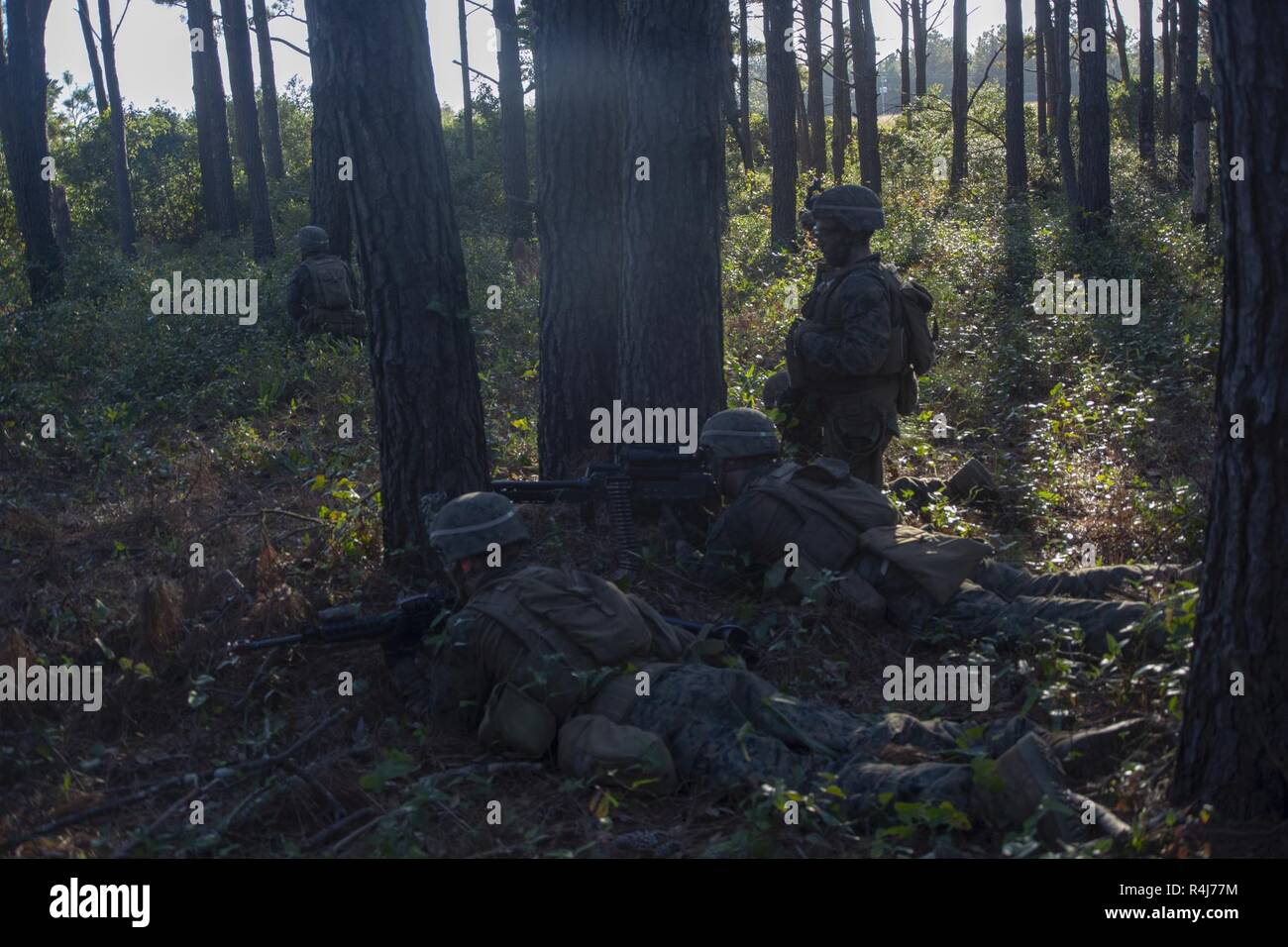 Marines with Battalion Landing Team, 1st Battalion, 2nd Marine Regiment ...
