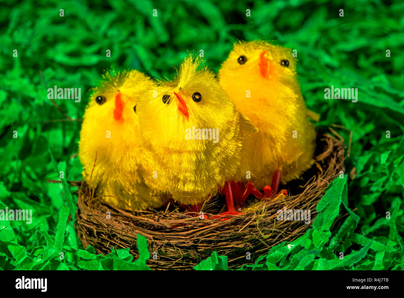 easter nest with chicks Stock Photo - Alamy