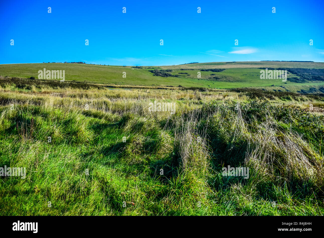 Countryside landscape on the way to Seven Sisters White Chalk Cliff in ...