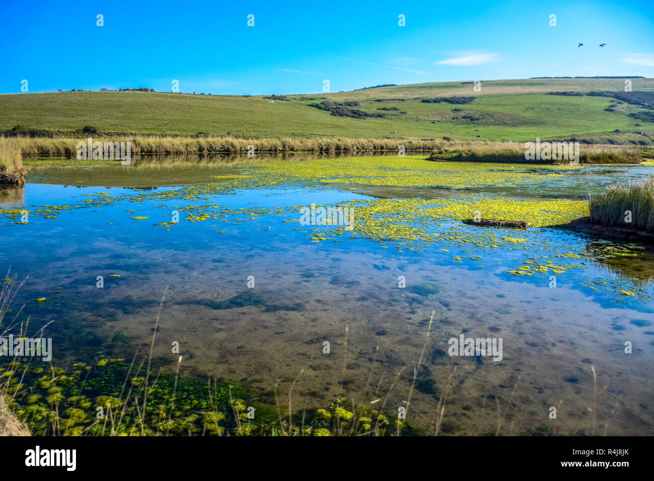 Countryside landscape on the way to Seven Sisters White Chalk Cliff in ...