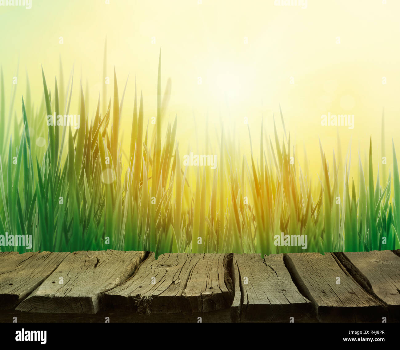 Spring grass background Stock Photo - Alamy