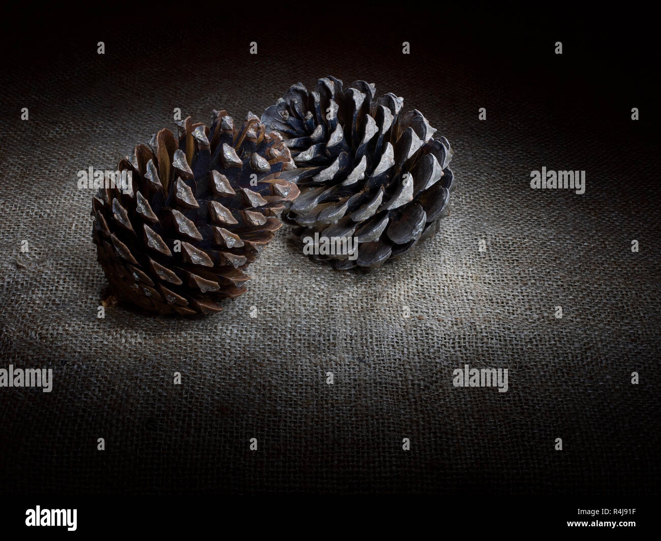 Still life background hi-res stock photography and images - Alamy