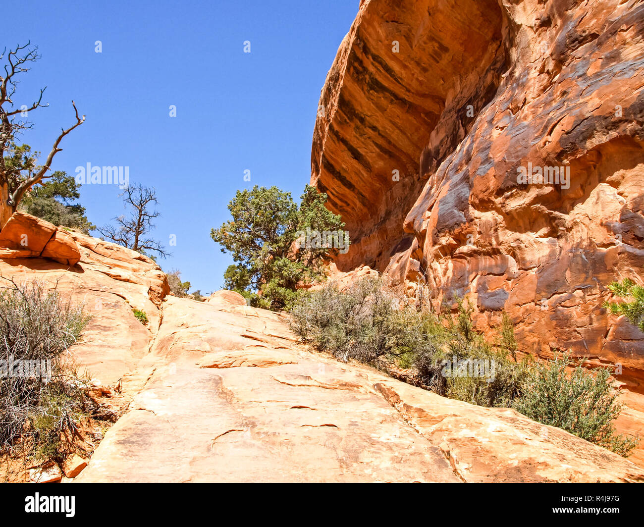 Nature National Park, Utah. The landscape and rocks. Roads and p Stock ...