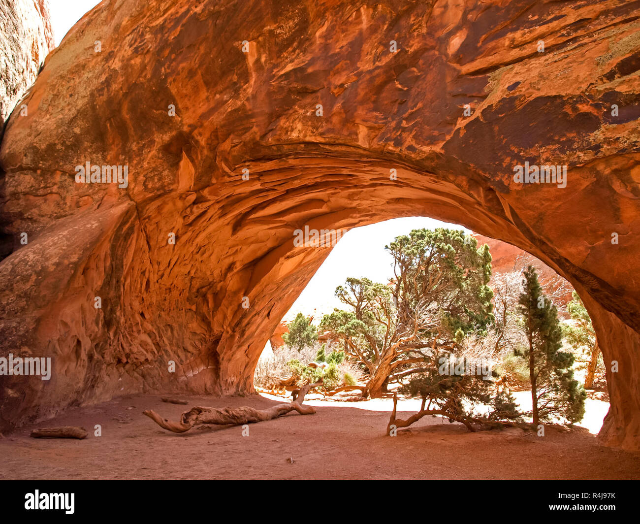 Nature National Park, Utah. The landscape and rocks. Roads and p Stock ...