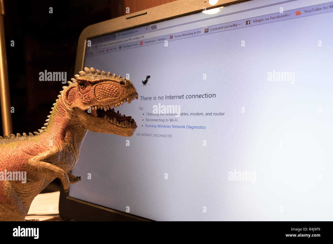 Laptop screen and the Tyrannosaurus Rex toy internet connection problem ...