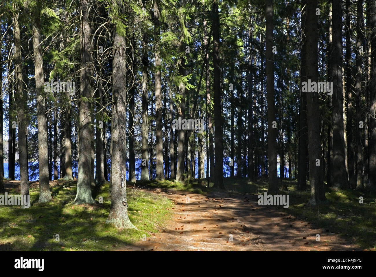 Landscape near Toropets. Tver Oblast. Russia Stock Photo - Alamy
