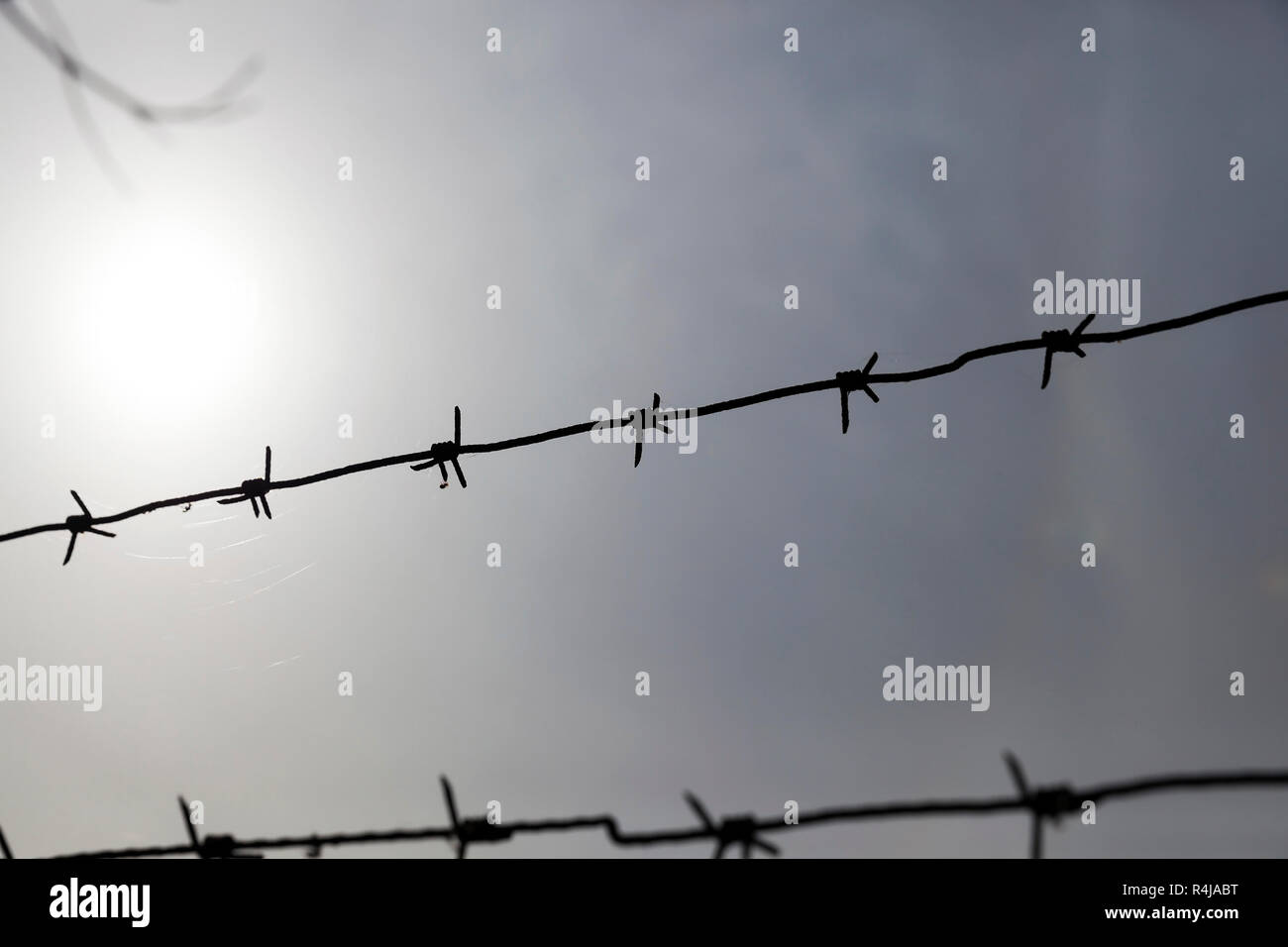 barbed wire, close-up Stock Photo - Alamy