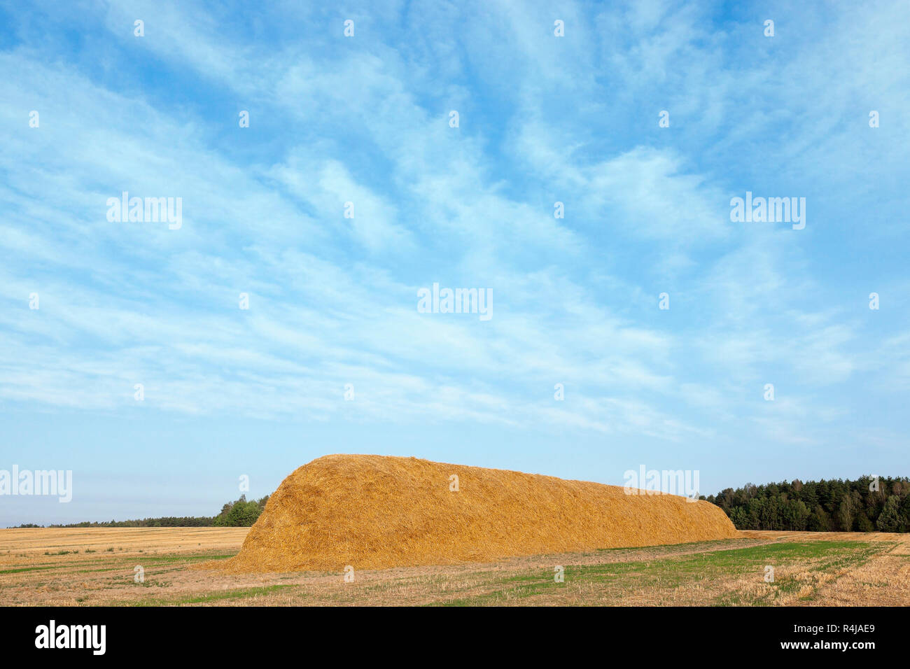 Agriculture farming field brick hi-res stock photography and images - Alamy
