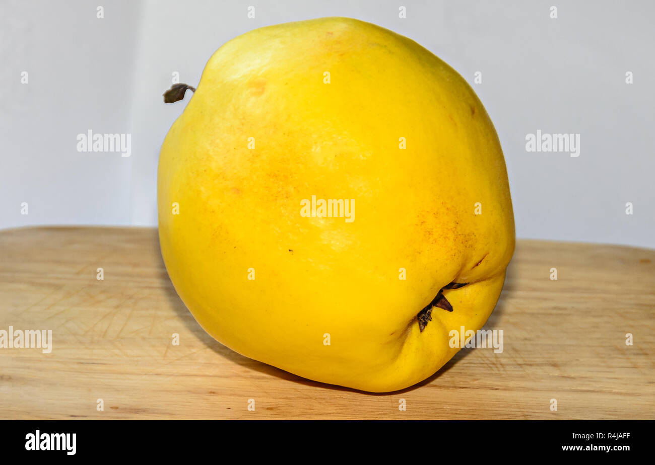 Yellow Quince (Cydonia oblonga) fruit, close up isolated Stock Photo ...